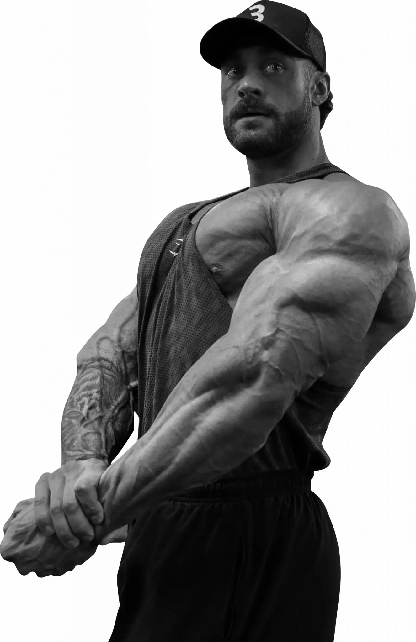 Chris Bumstead - MegaFit Meals - Stay Hungry