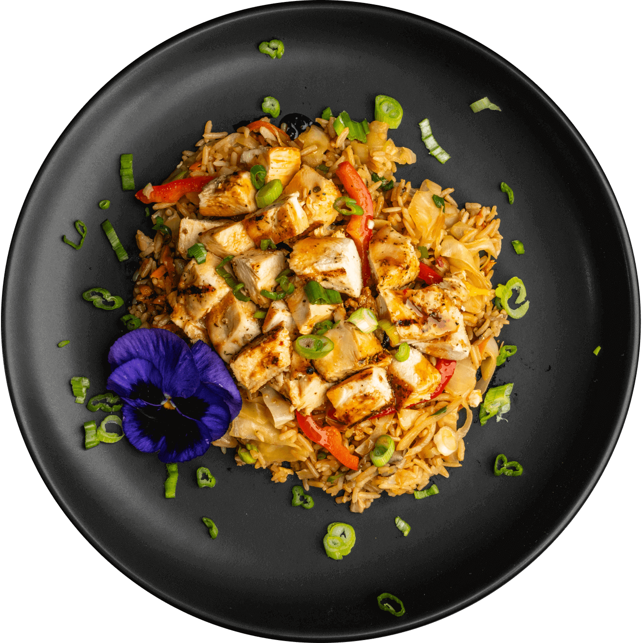 MegaFit Meals - High-Quality Meal Prep