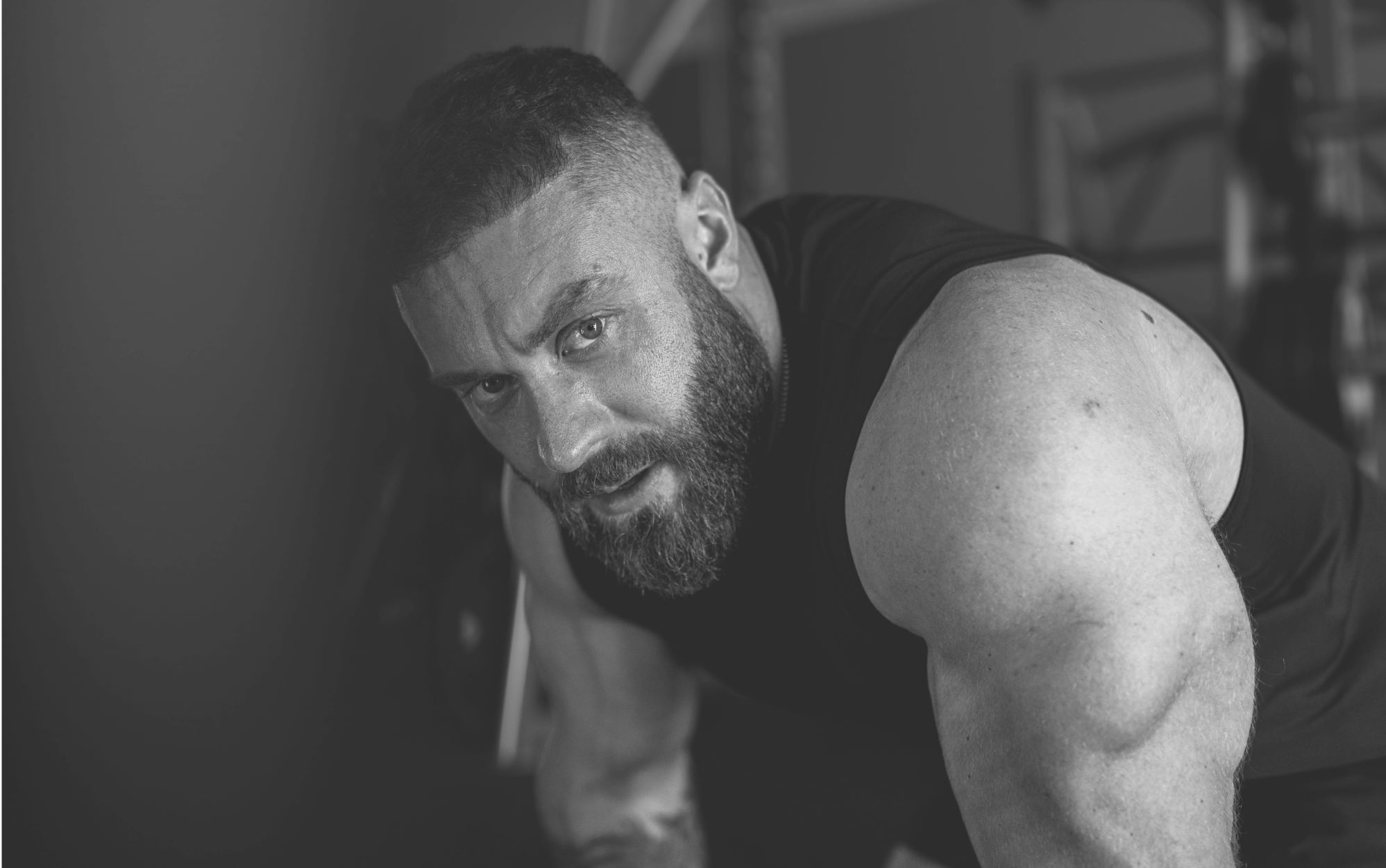 MegaFit Meals - High-Quality Meal Prep